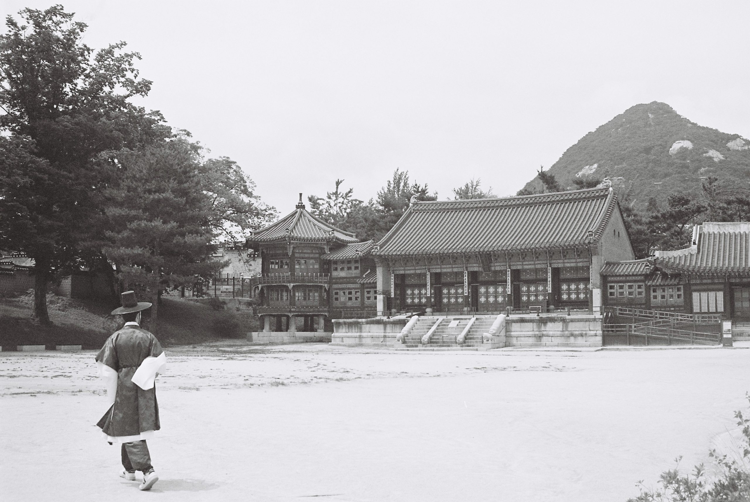 Jasmine Rice - New Word Order